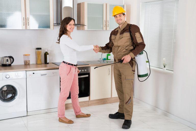 Preparing Your Home for an Extermination - amherstexterminators.com