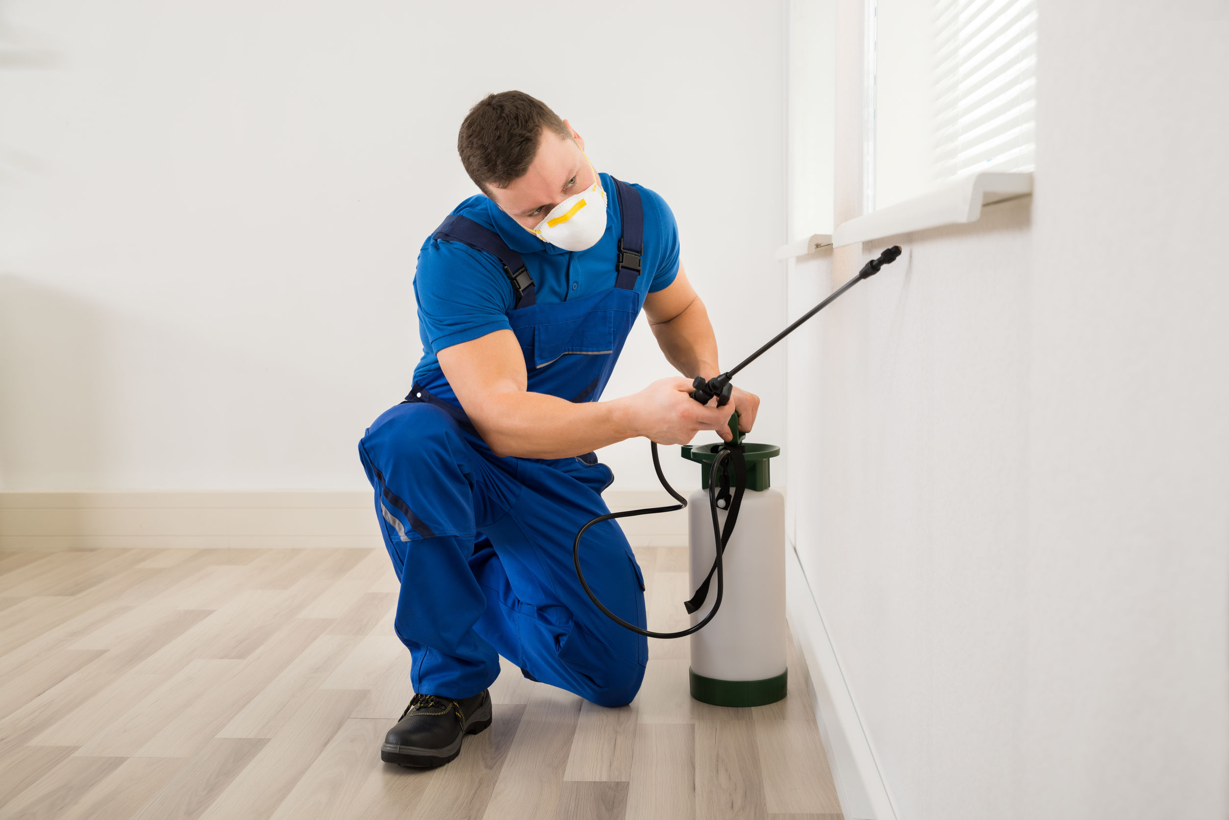 Preparing Your Home for an Extermination - amherstexterminators.com